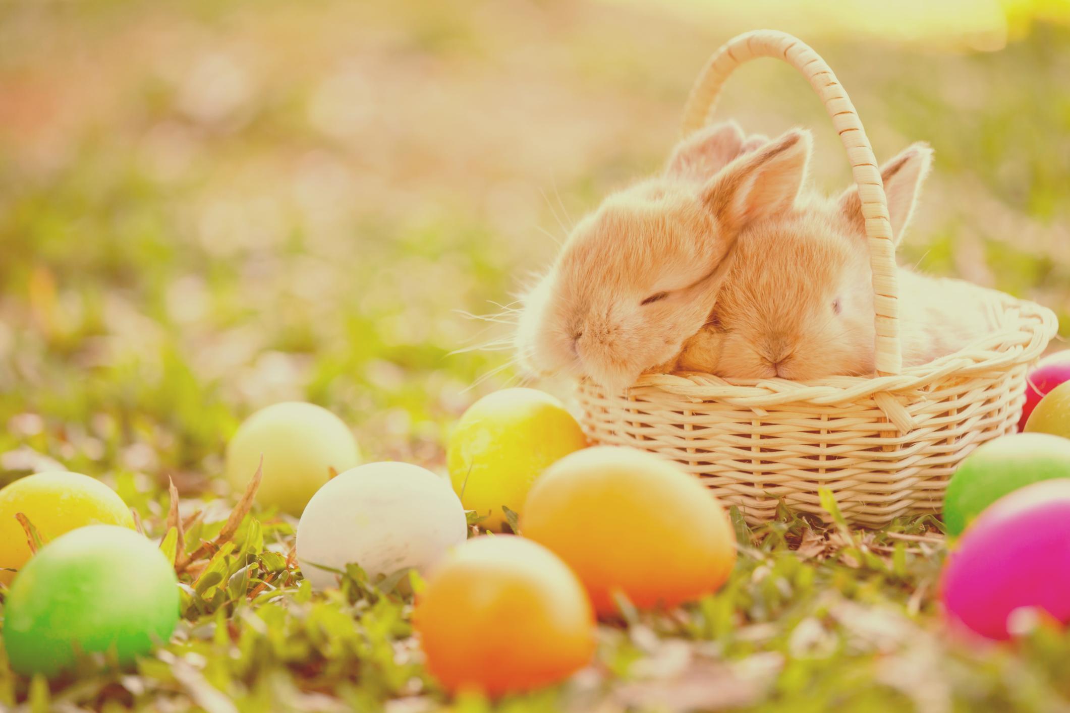 It’s No Yolk: Easter Public Holiday Requirements for Employers - HR Legal
